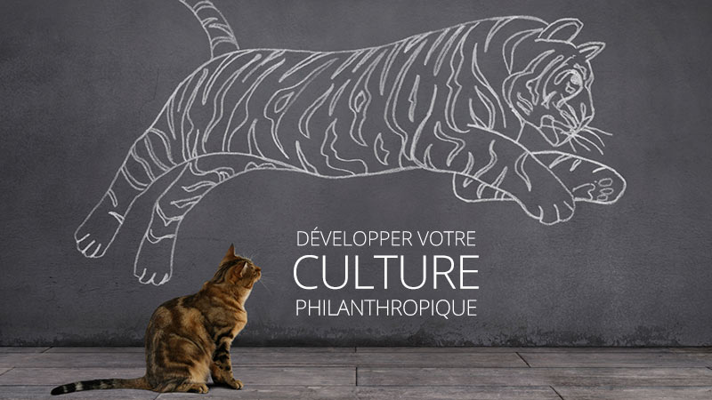 Créer une culture philanthropique dans votre OBNL | Phil